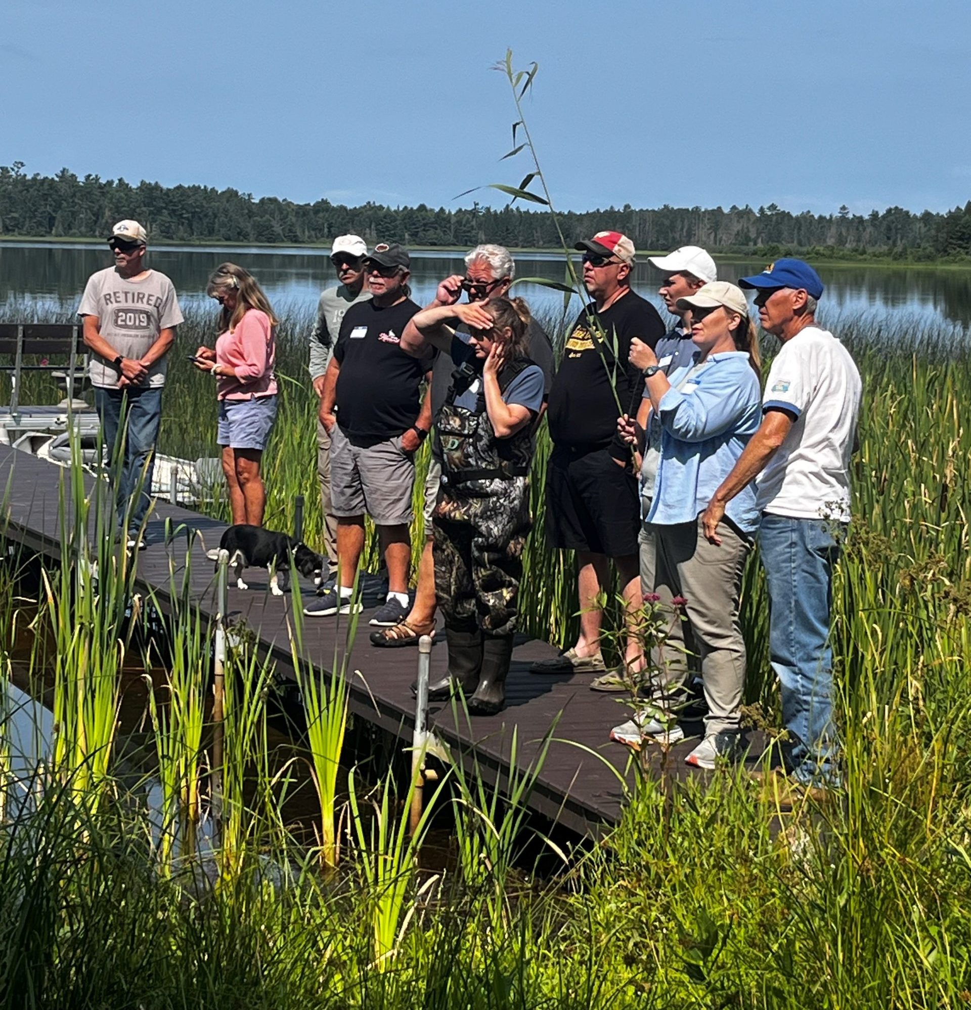 Shoreline Invasive Training and Surveying : Eagle River Chain of Lakes ...